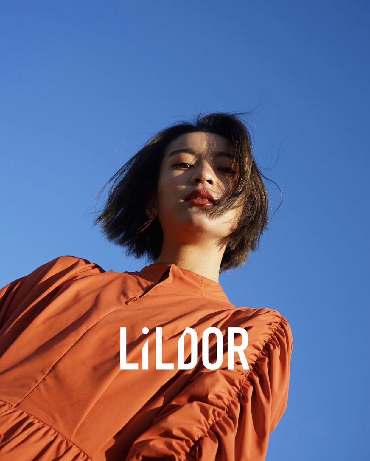 LiLDOR – AlphaBridgeConsulting