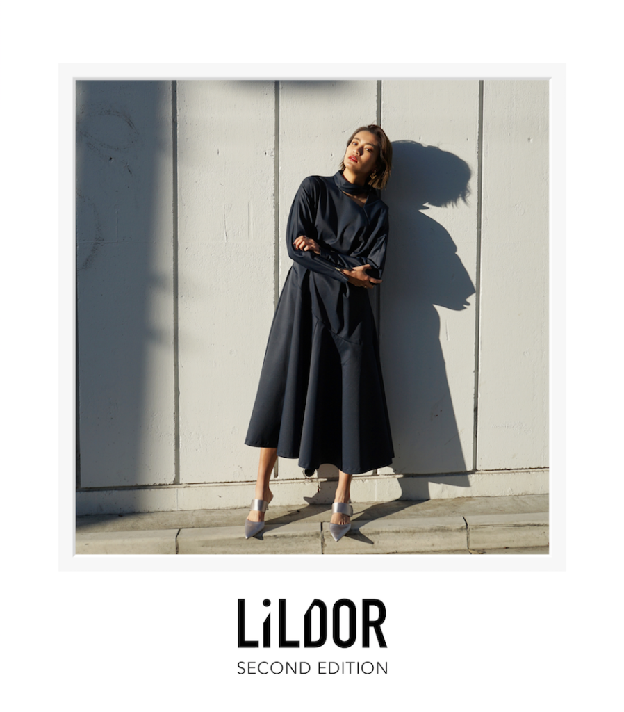 LiLDOR SECOND EDITION – AlphaBridgeConsulting