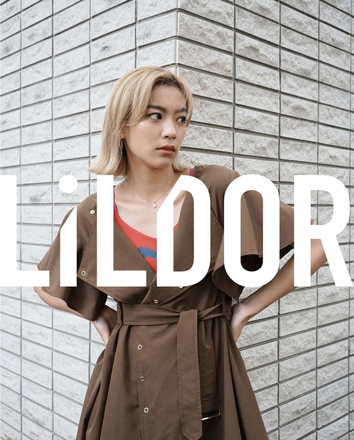 LiLDOR THIRD EDITION – AlphaBridgeConsulting